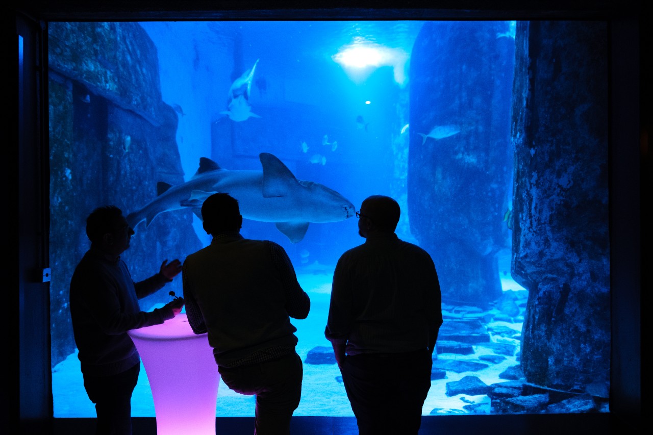 Hire SEALIFE London Aquarium • Dine with the Sharks